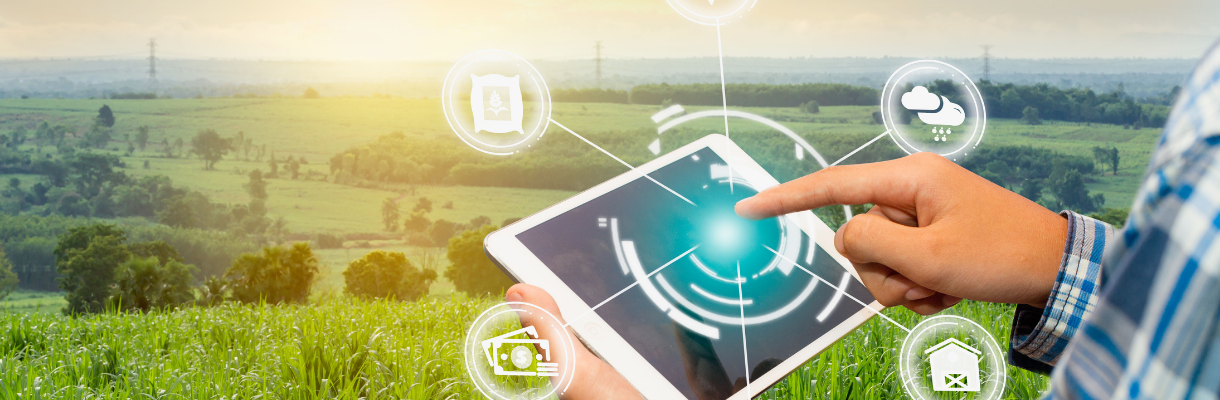 Prototipos para agricultura | Diseño de máquinas agrícolas